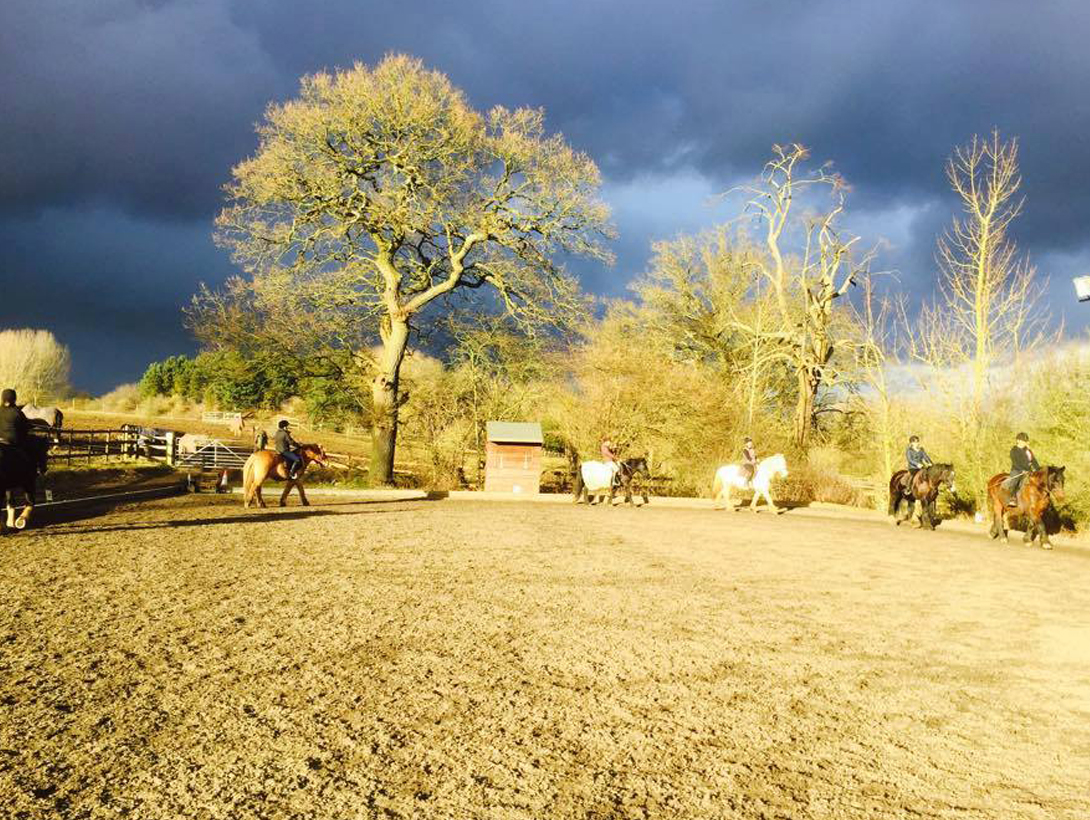 Brookhouse Farm Riding School - BHF | Horse, riding, lessons, tuition ...